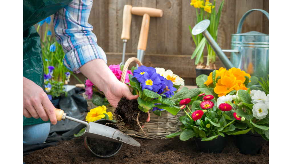 Wczesna wiosna w ogrodzie - Radio Bezpieczna Podróż